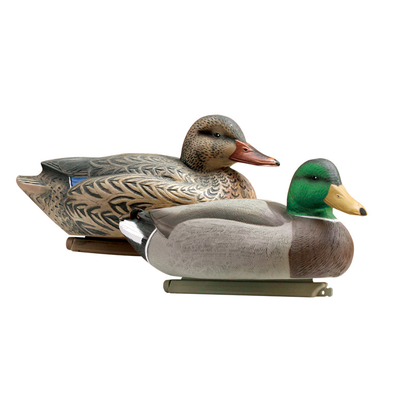 mallard basic