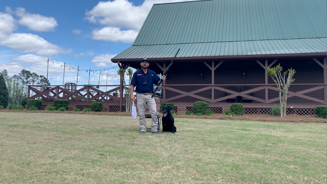 3 Training Tips For Dog Owners at Home - Banded Hunting Gear