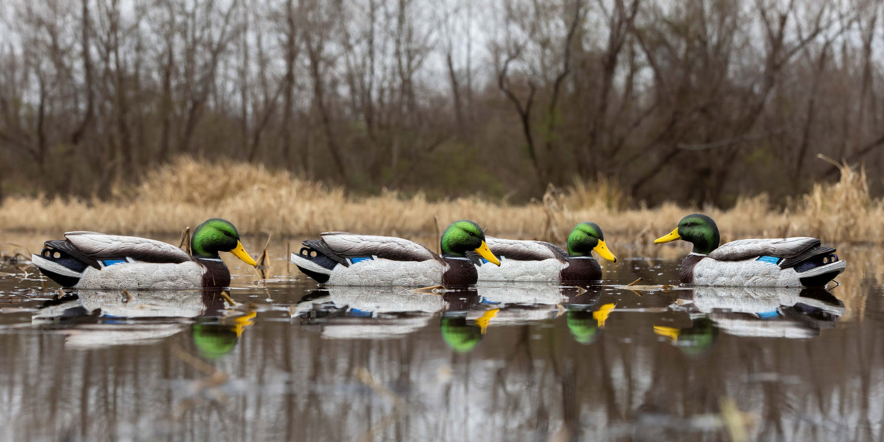 Shop All Duck Decoys – Banded