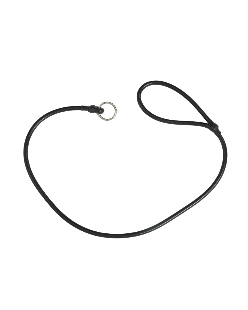 Poly Slip Lead – Banded