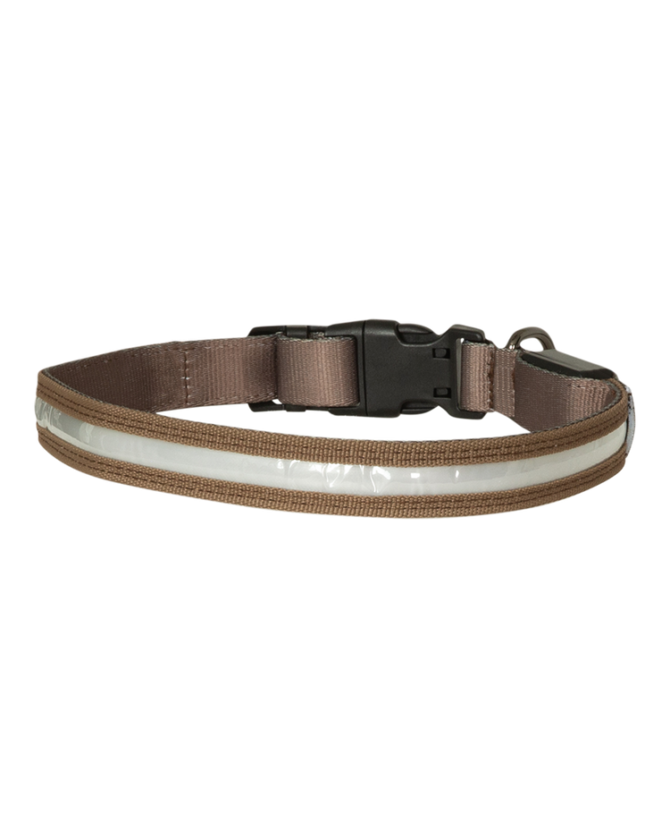 Lighted Collar – Banded