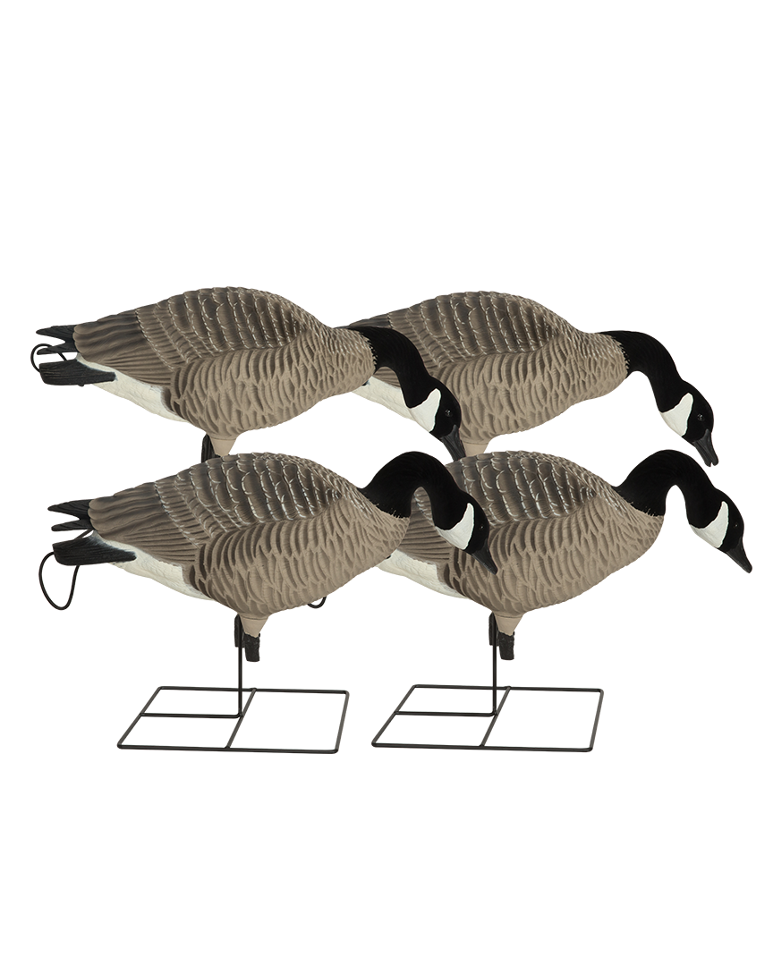 XD Series XD Series Full-Body Honkers - Feeder 4 Pack - Banded Hunting ...