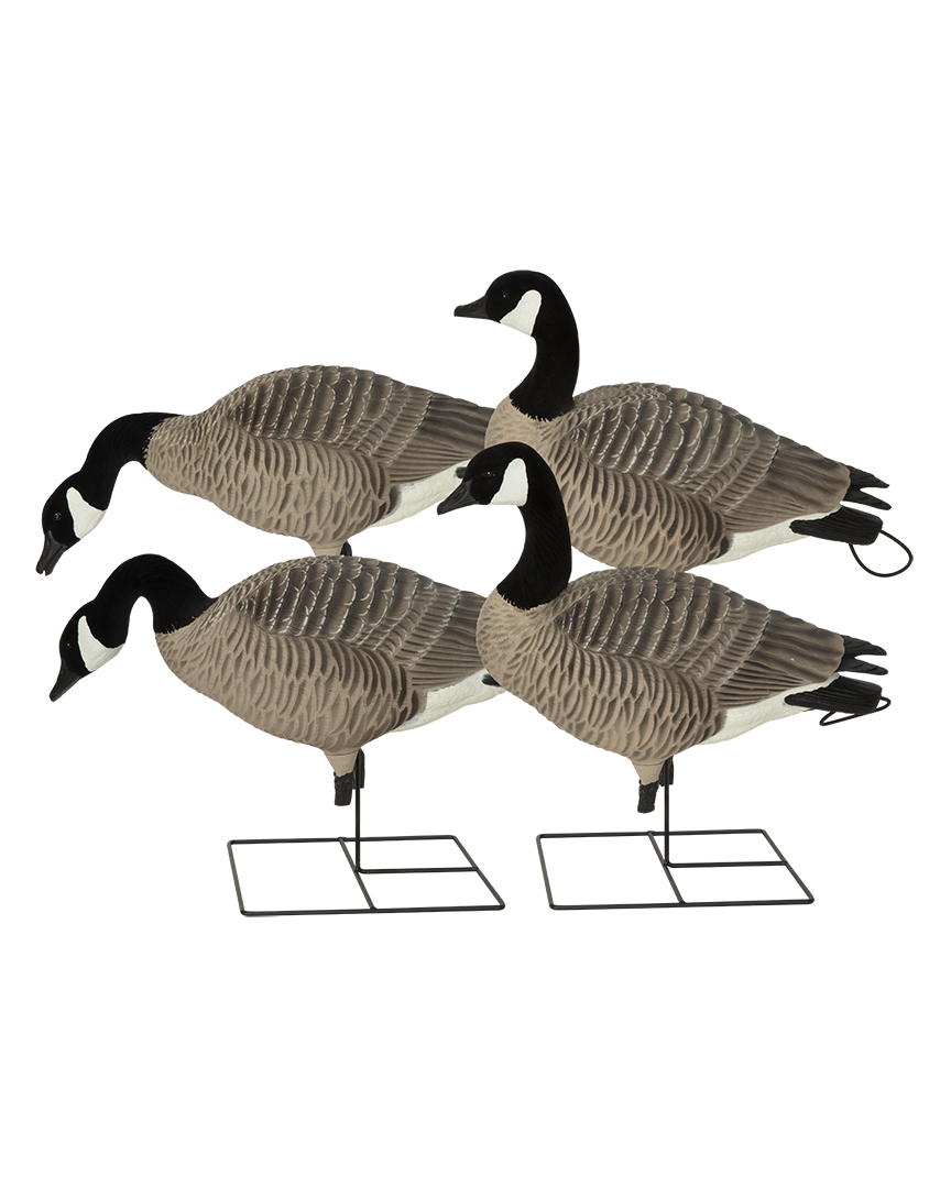 XD Series Full-Body Honkers - Harvester (4-Pack) - Banded Hunting Gear
