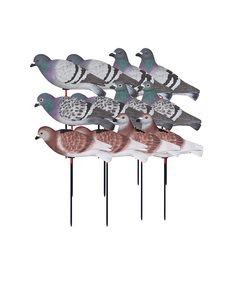 Hunter Series Full Body PIgeon Decoys - 12 Pack – Banded