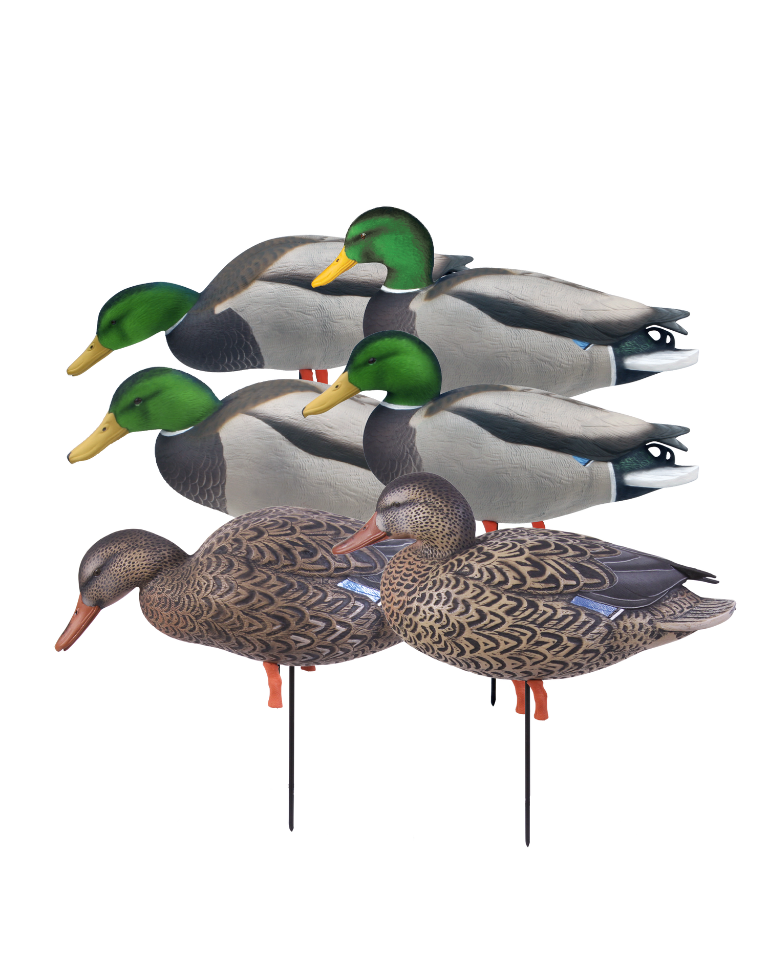 FFD Elite Full Body Mallard Harvester Pack – Banded