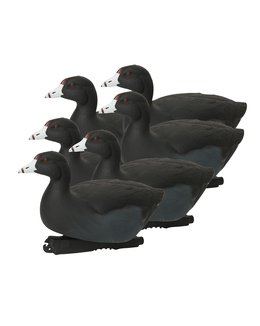 GHG Hunter Series Over Size Coot Decoys – Banded