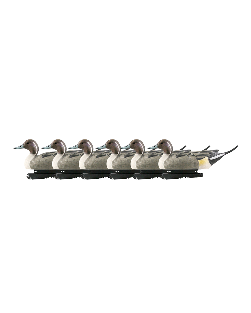 GHG Hunter Series Life Size All Drake Pintail Decoys – Banded