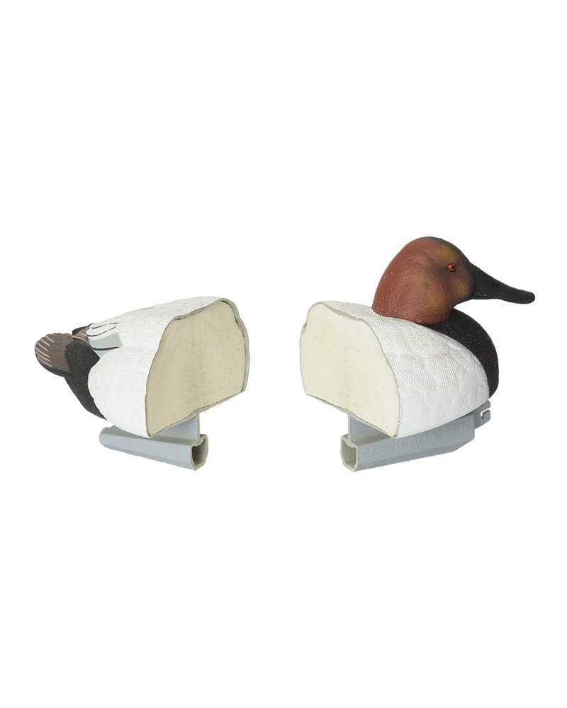 hen canvasback decoy