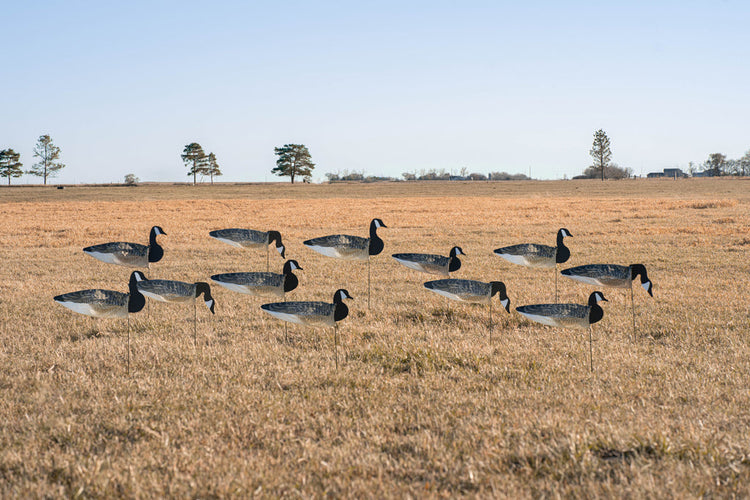 GHG Pro-Grade Canada Honker Goose Sock Decoys – Banded