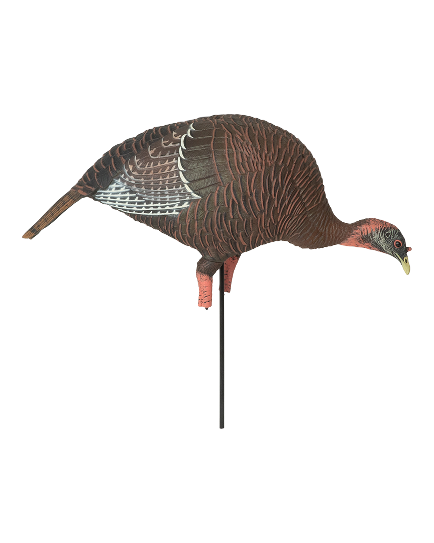 GHG Pro-Grade XD Feeding Hen Turkey Decoy – Banded
