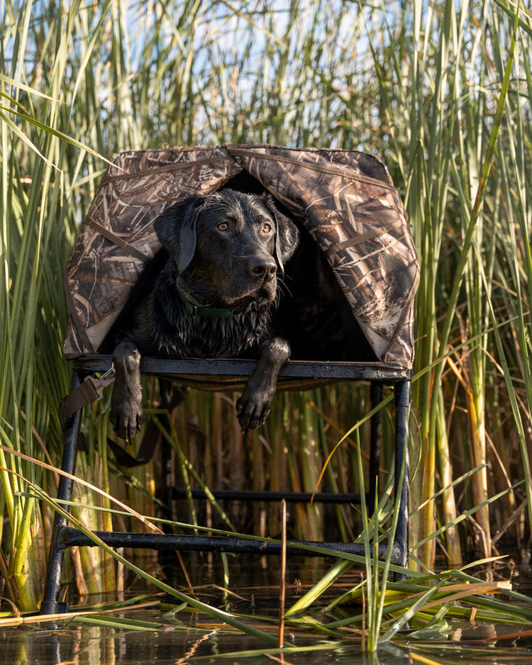 HighGround-Force Elevated Dog Blind – Banded