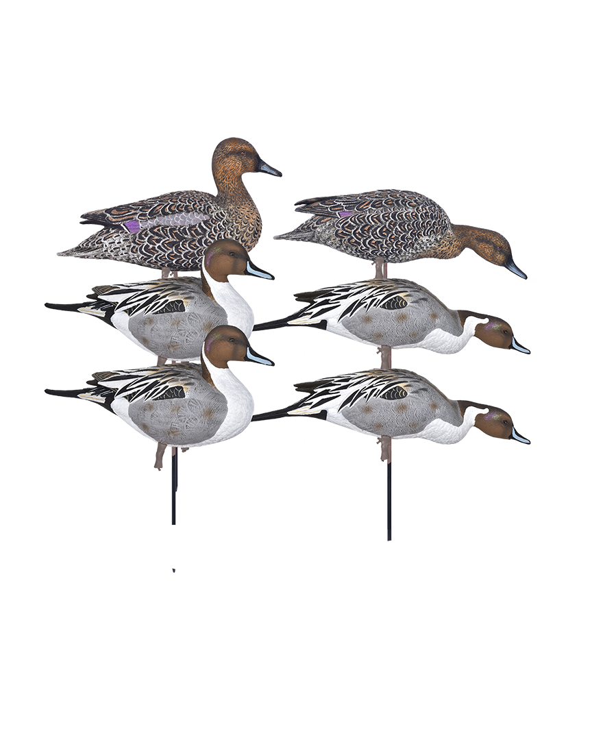 GHG Pro-Grade® Pintail Full Body – Harvester Pack (6-Pack) – Banded