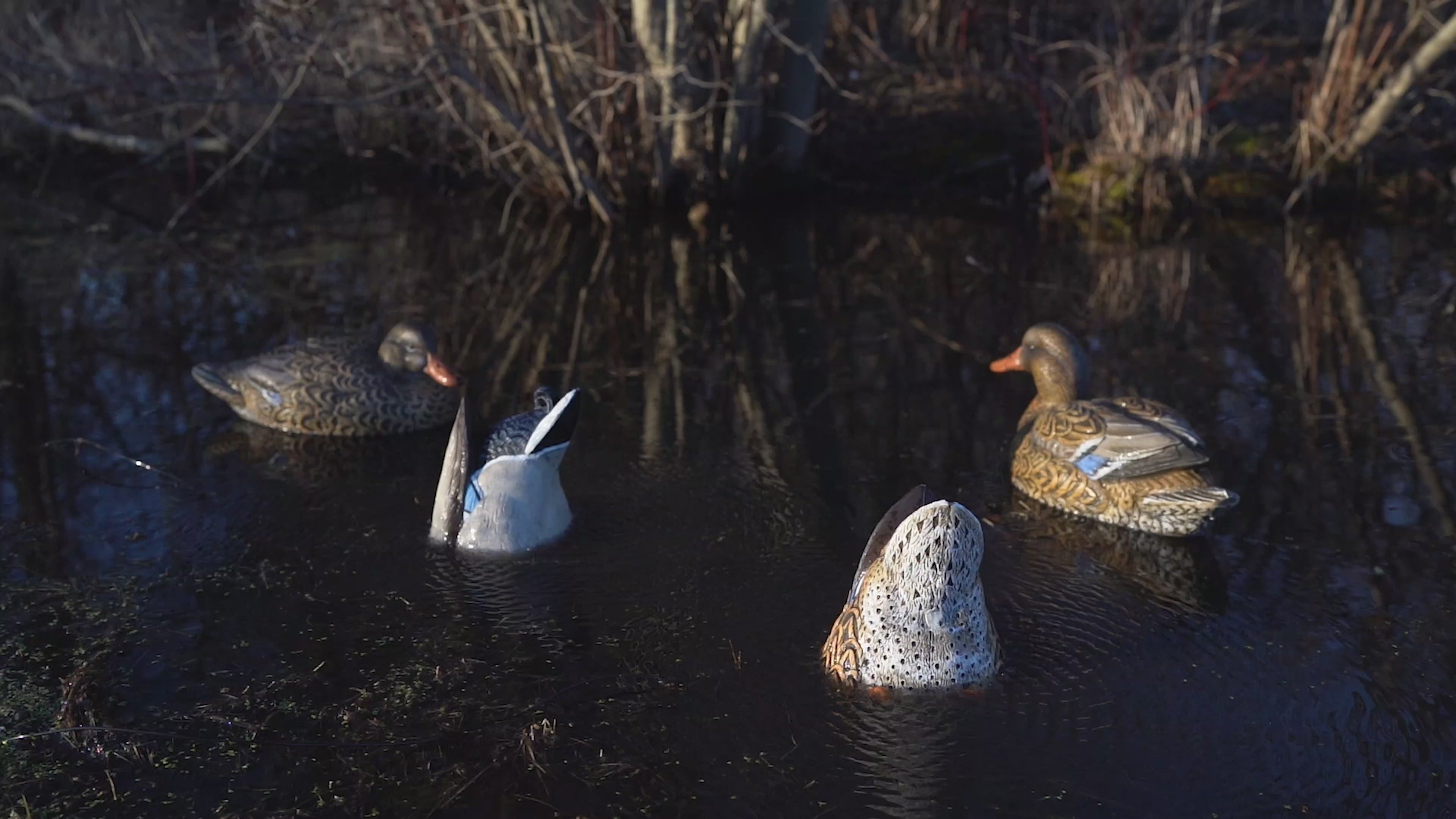 GHG Finisher Ripple Maker Motion Pintail Drake Decoy – Banded