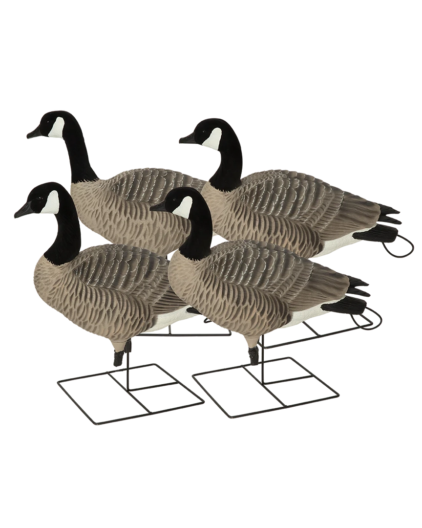 GHG XD Series Full-Body Honkers Active 4-Pack – Banded