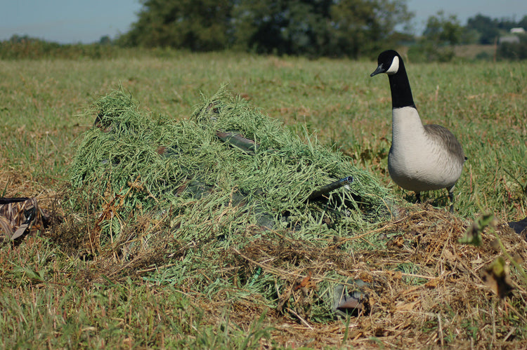 Killerweed Layout Blind Kit – Banded