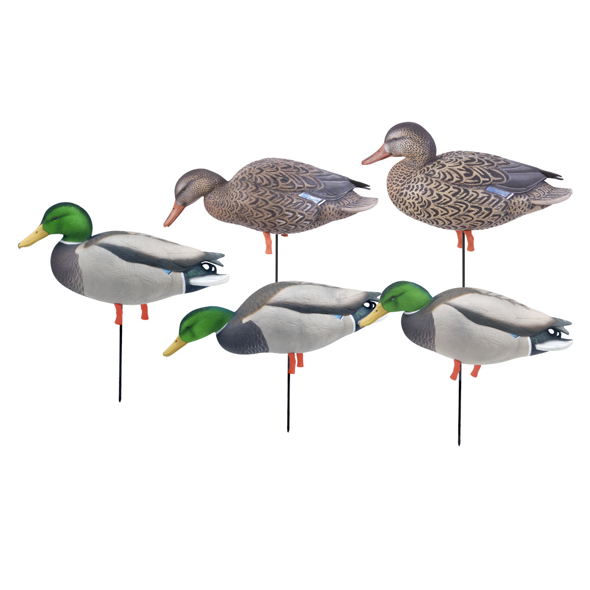 Duck Decoy Head And Neck