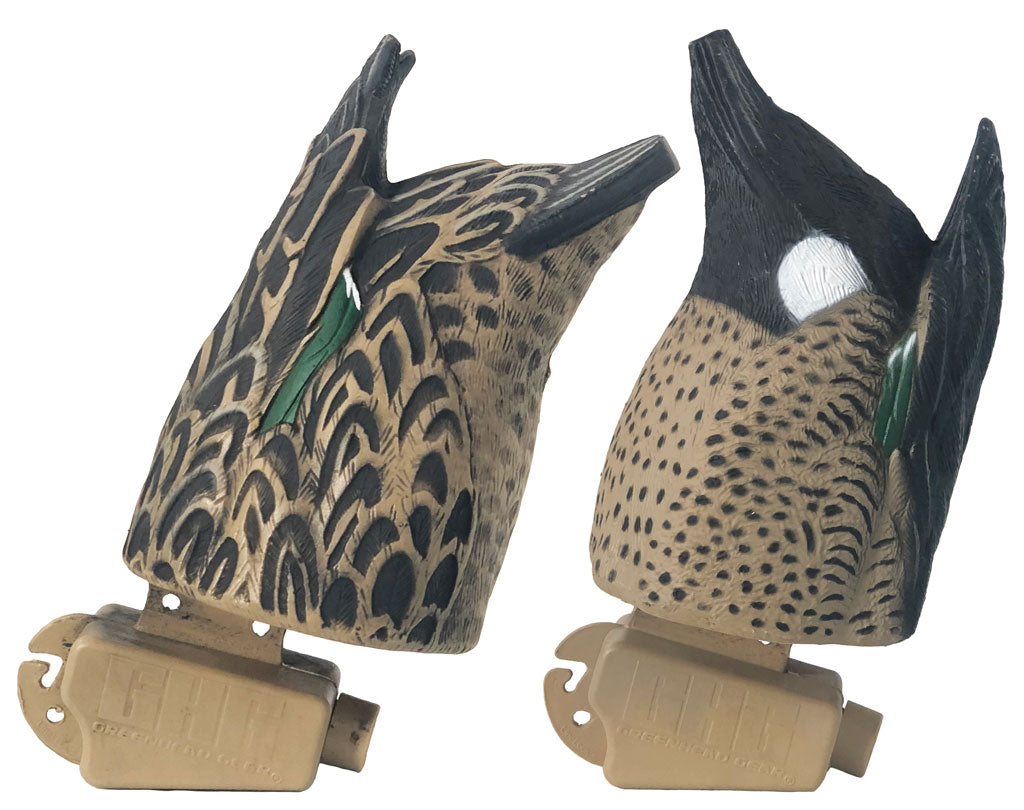 Getting Up Green Winged Teal