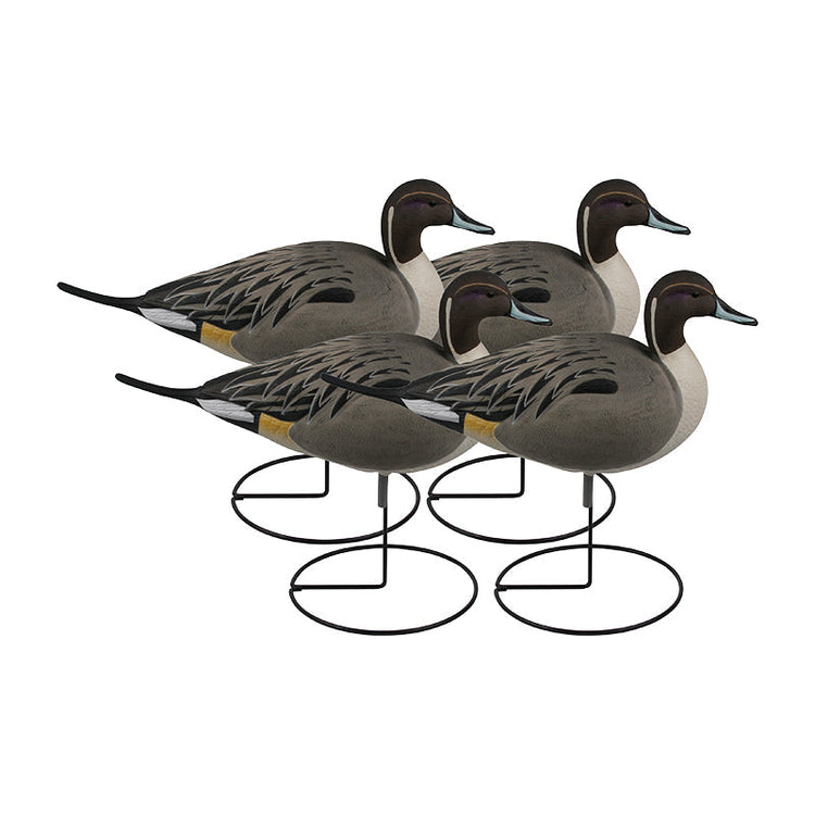 GHG Hunter Series Over Size Full-Body Pintail Decoys – Banded